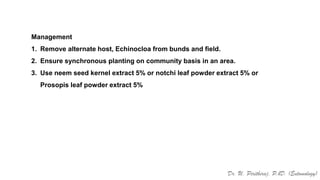 Pests of tenai_Identification,Binomics_Dr.UPR