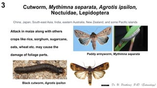 Pests of tenai_Identification,Binomics_Dr.UPR