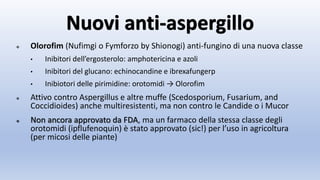 Nuovi antimicrobici: nuovi antibiotici, antifungini e antivirali.pptx