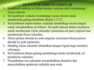 4.5 PERTUMBUHAN DALAM ORGANISMA MULTISEL.pptx