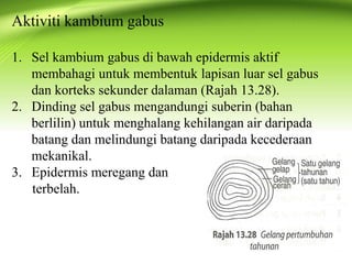 4.5 PERTUMBUHAN DALAM ORGANISMA MULTISEL.pptx