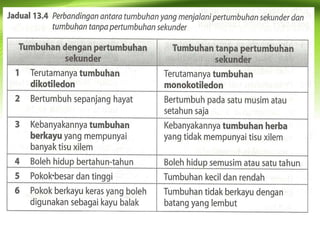 4.5 PERTUMBUHAN DALAM ORGANISMA MULTISEL.pptx