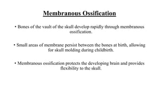 Understanding Bone Development and Disorders | PPTX