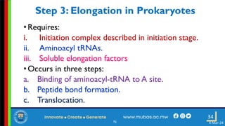 4. Translation in Prokaryotes and Eukaryotes.pdf