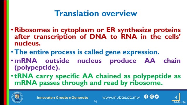 4. Translation in Prokaryotes and Eukaryotes.pdf