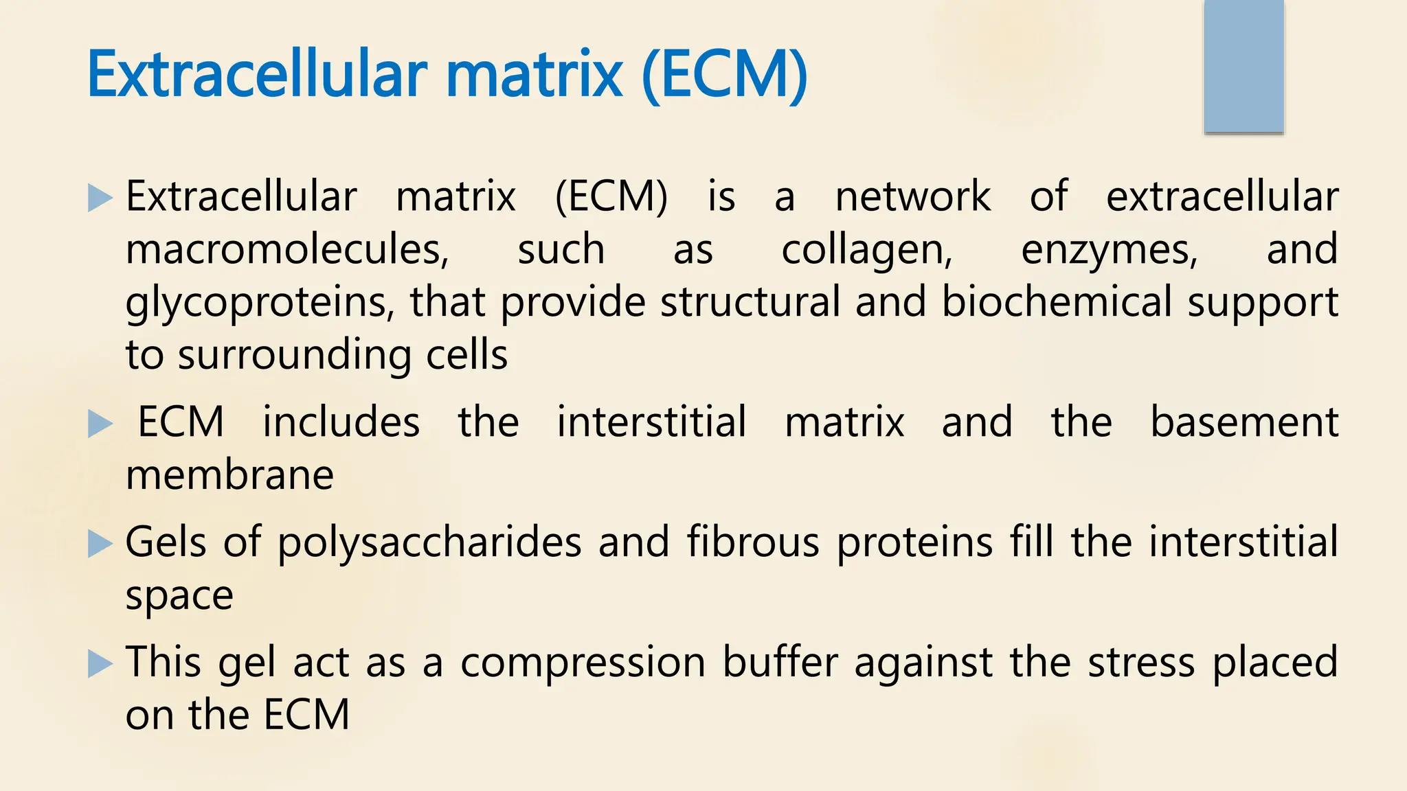 EXTRACELLULAR MATRIX AND ITS COMPONENTS | PPTX