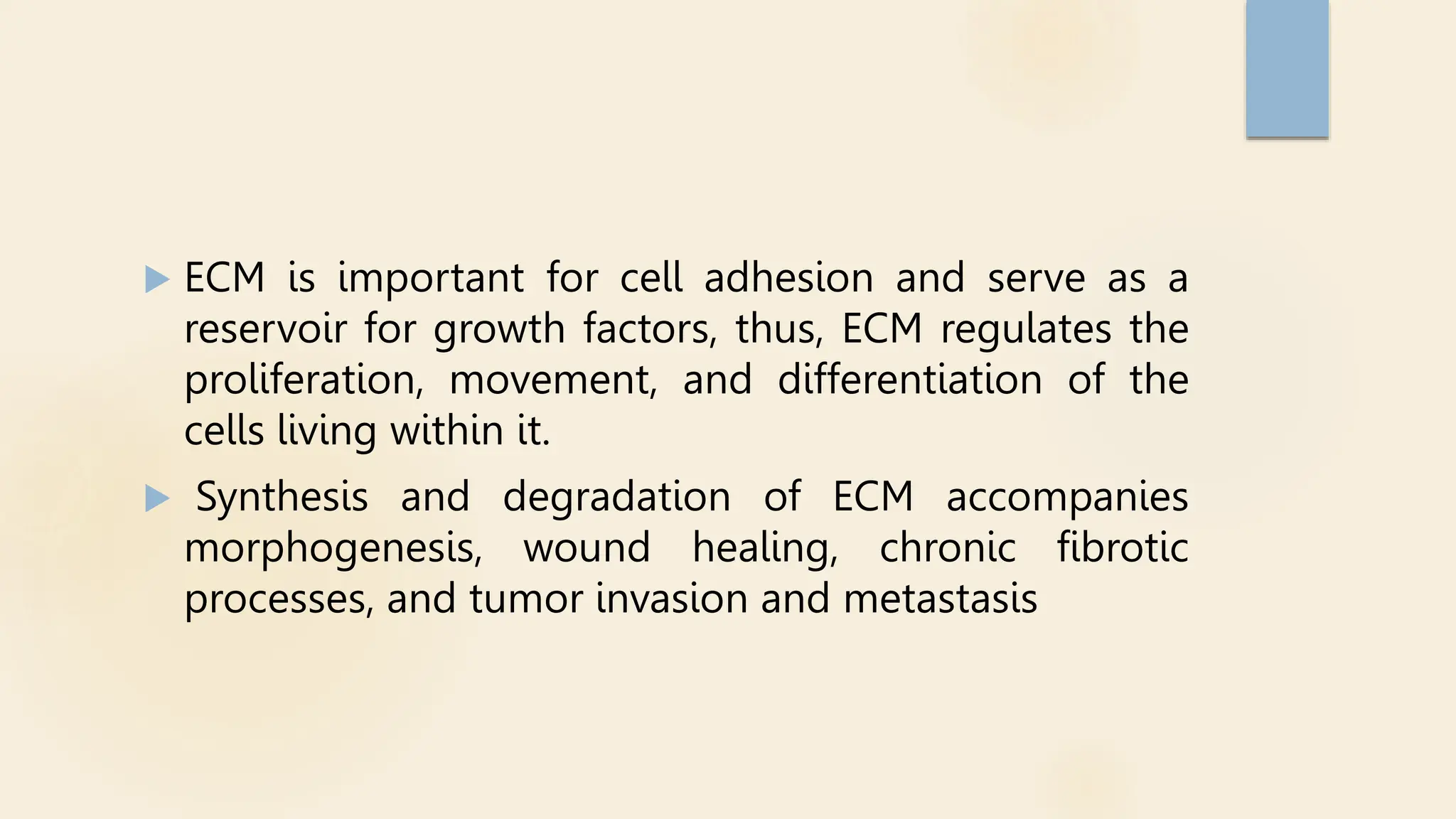 Extracellular Matrix And Its Components Pptx
