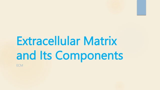 EXTRACELLULAR MATRIX AND ITS COMPONENTS | PPTX | Biological Sciences | Science