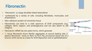 EXTRACELLULAR MATRIX AND ITS COMPONENTS | PPTX