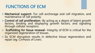 EXTRACELLULAR MATRIX AND ITS COMPONENTS | PPTX