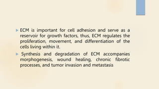 EXTRACELLULAR MATRIX AND ITS COMPONENTS | PPTX