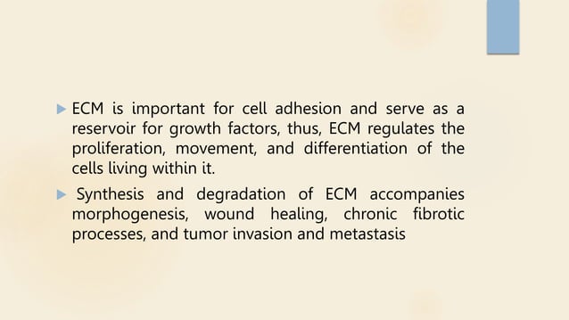 EXTRACELLULAR MATRIX AND ITS COMPONENTS | PPTX | Biological Sciences | Science