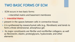 EXTRACELLULAR MATRIX AND ITS COMPONENTS | PPTX