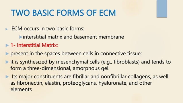 EXTRACELLULAR MATRIX AND ITS COMPONENTS | PPTX | Biological Sciences | Science