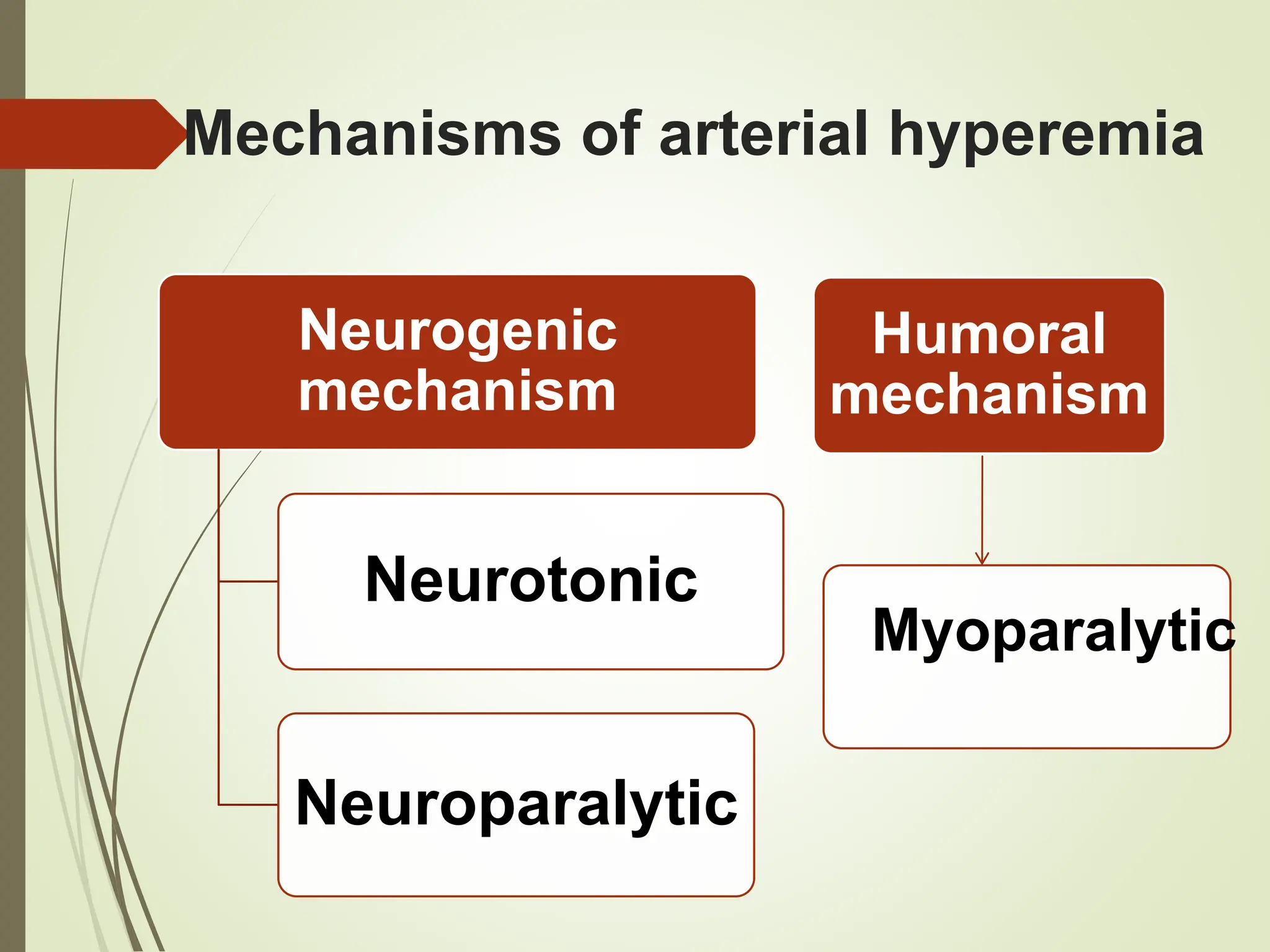 4 Microcirculatiomicrocirculation Presentation Ppt