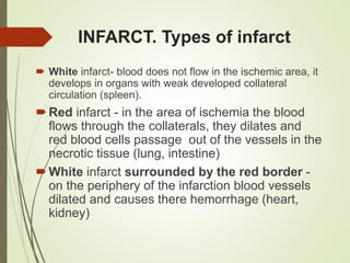 4.Microcirculatiomicrocirculation presentation | PPT