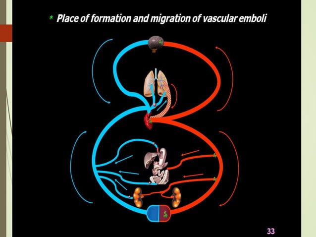 4.Microcirculatiomicrocirculation presentation | PPT