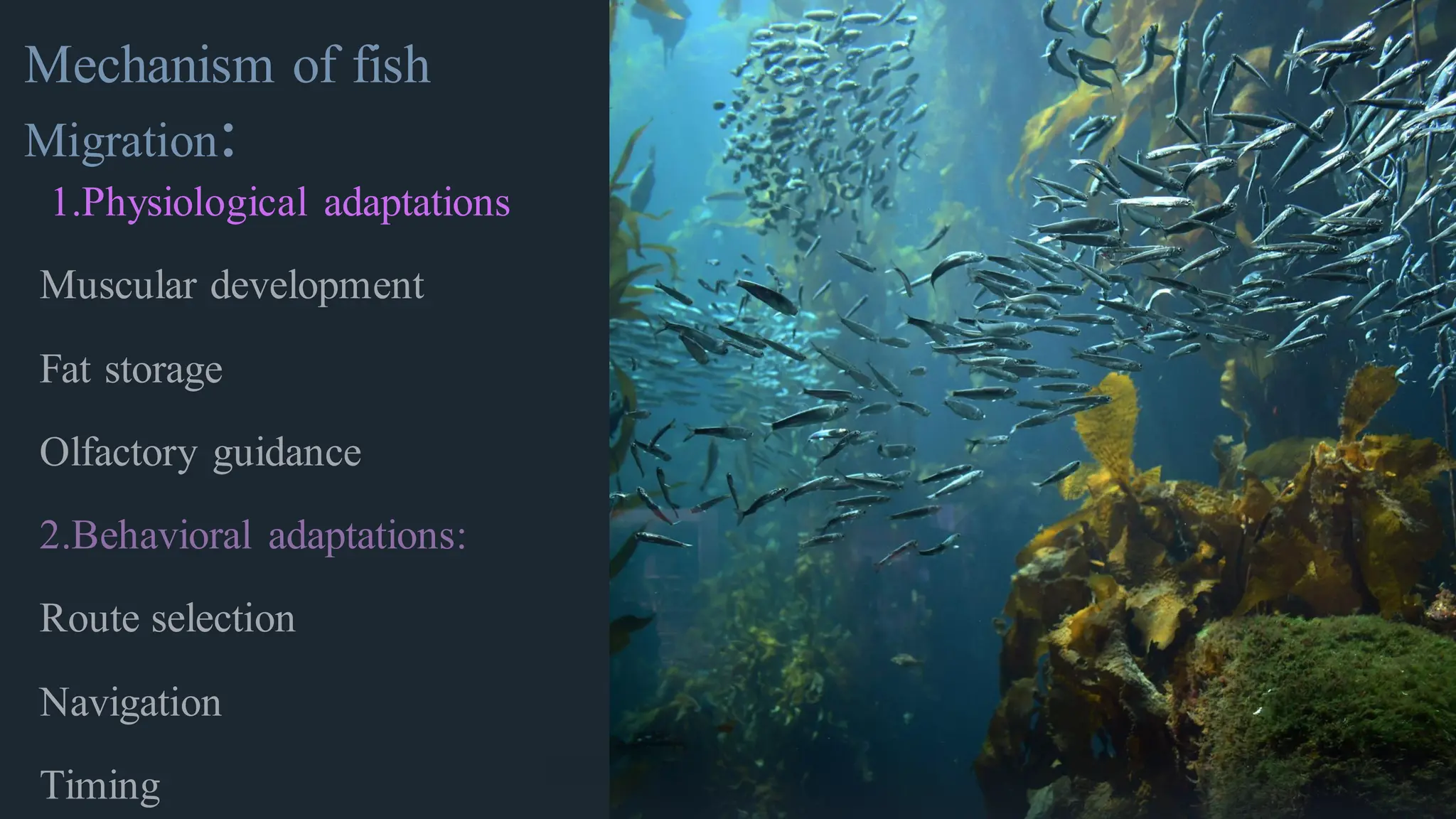4.Migration_in_fishes.pdf Types of migration, factors influencing fish ...