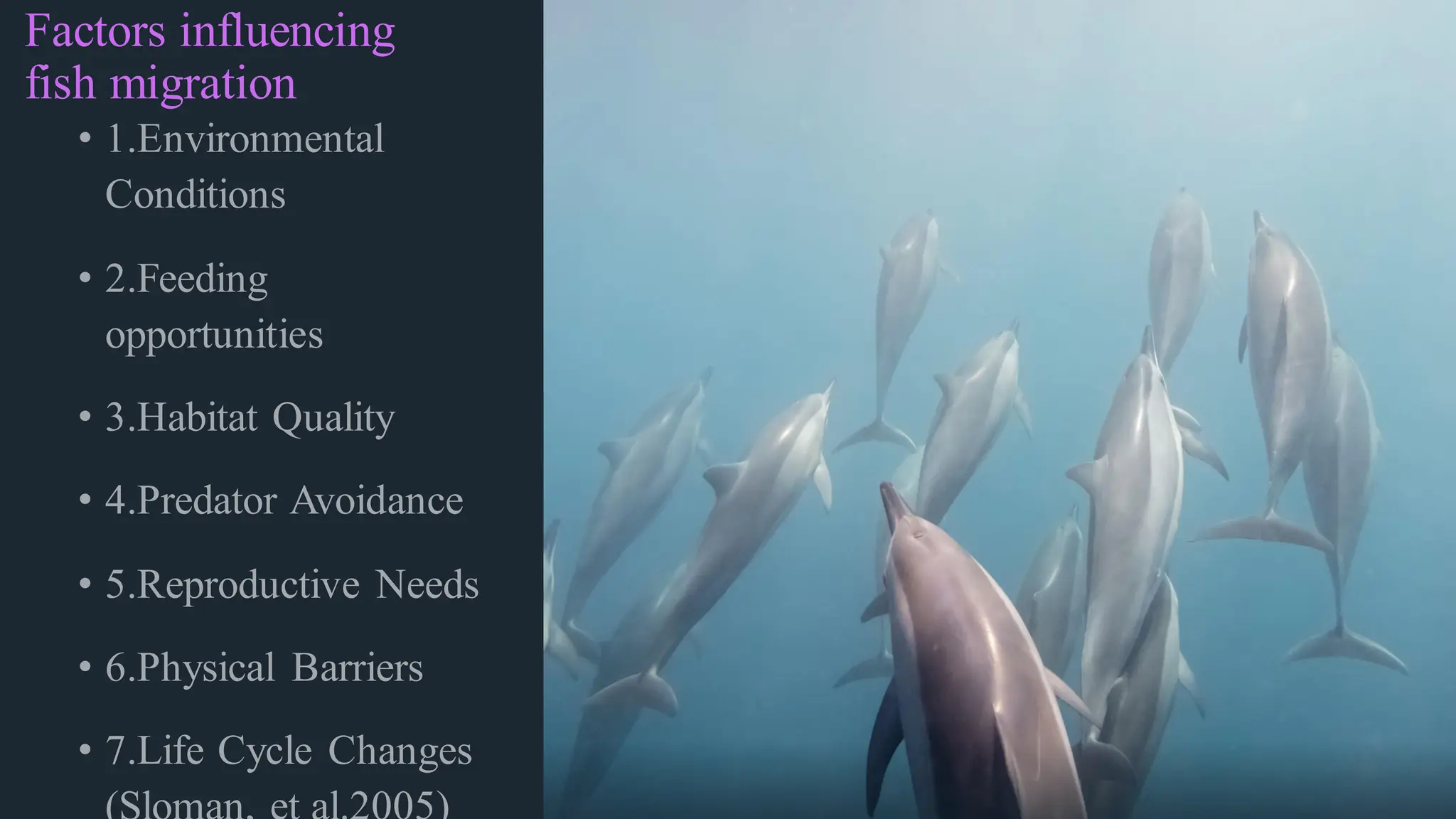 4.Migration_in_fishes.pdf Types of migration, factors influencing fish ...