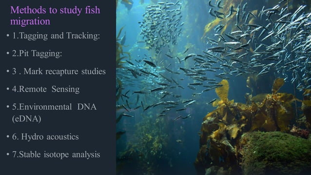 4.Migration_in_fishes.pdf Types of migration, factors influencing fish ...