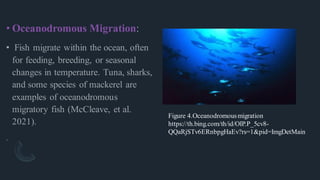 4.Migration_in_fishes.pdf Types of migration, factors influencing fish migration. | PDF