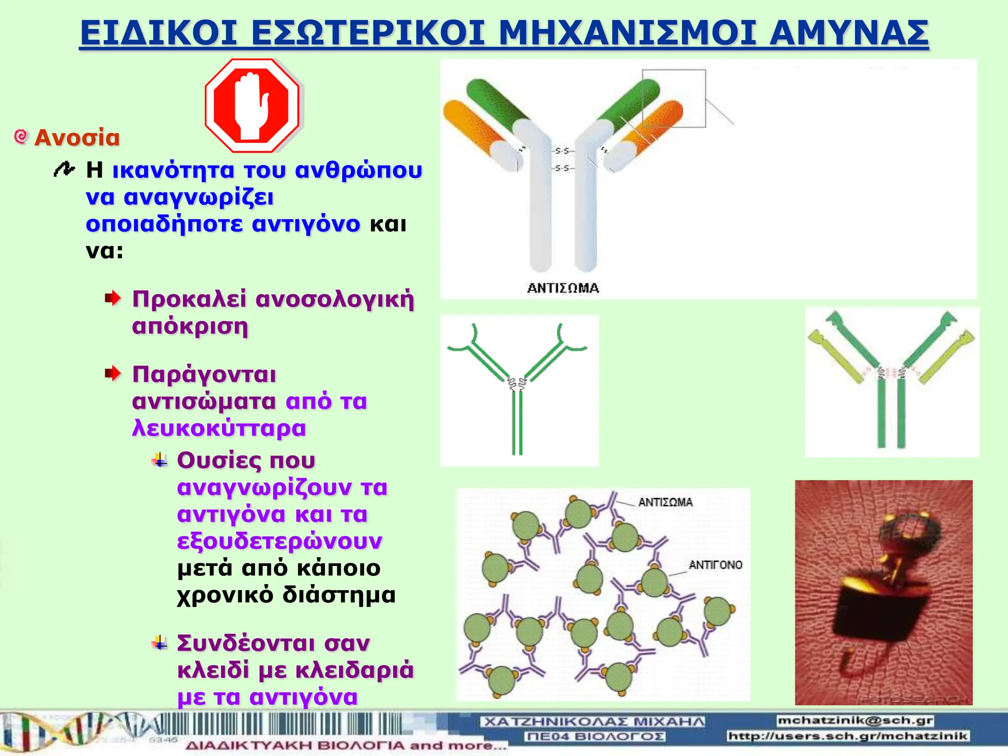4.3 γ. eidikoiesoterikoimixanismoiamonastouanthropinouorganismou.ppt