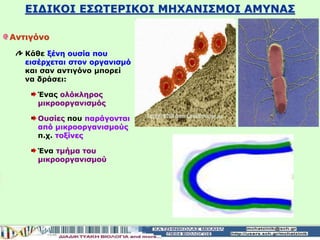 4.3 γ. eidikoiesoterikoimixanismoiamonastouanthropinouorganismou.ppt