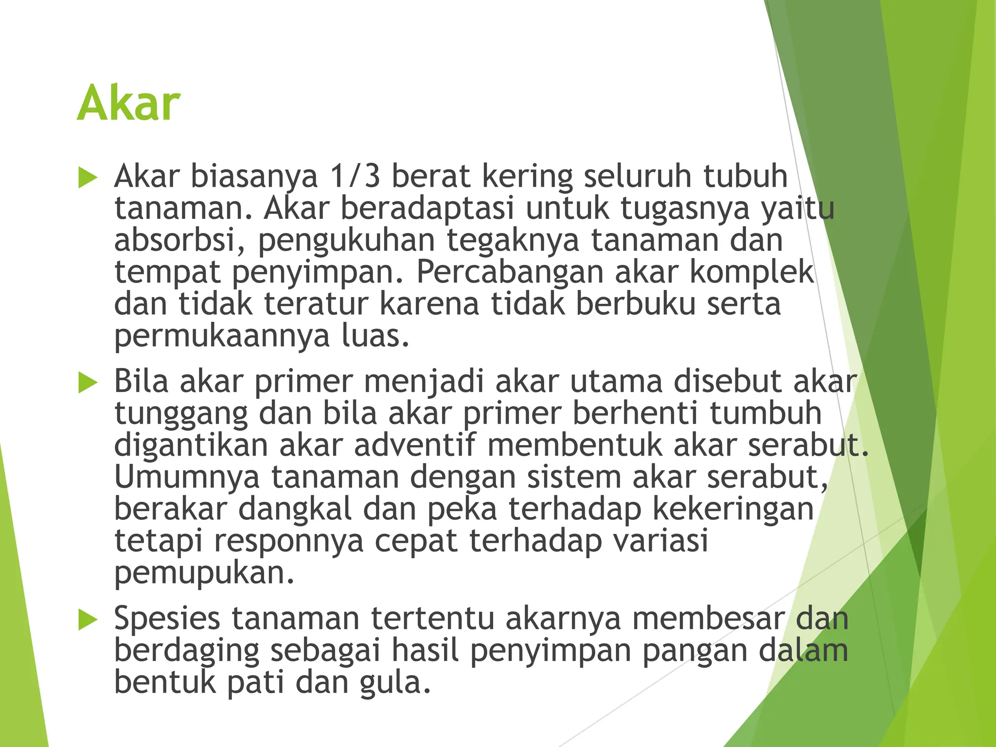 struktur dan fungsi tumbuhan mulai dari akar dan daun Struktur dan ...