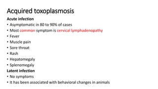 4. Toxoplasmosis the common opportunistic infection | PPTX | Infectious ...