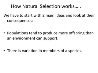 4.1 Biodiversity ESS revision slides powerpoint | PPT