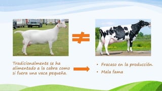 La Alimentación caprina, producción y costos | PDF
