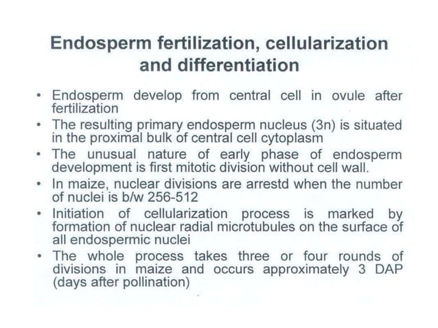 4. Endosperm development_3.pptx with basic terminalogies | PPT