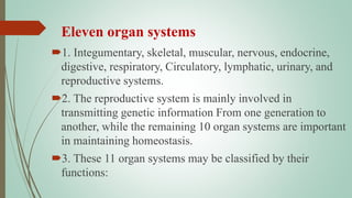 2. Anatomy Terms_By Anupam Das | PPT