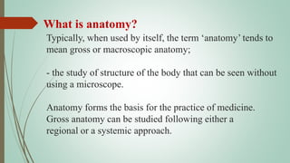 2. Anatomy Terms_By Anupam Das | PPT