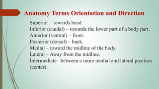 2. Anatomy Terms_By Anupam Das | PPT