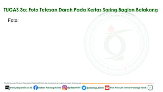 4. Lembar Tugas Sampling DBS SHK -PDS PatKLIn.pptx