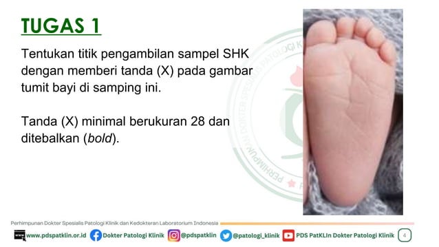 4. Lembar Tugas Sampling DBS SHK -PDS PatKLIn.pptx