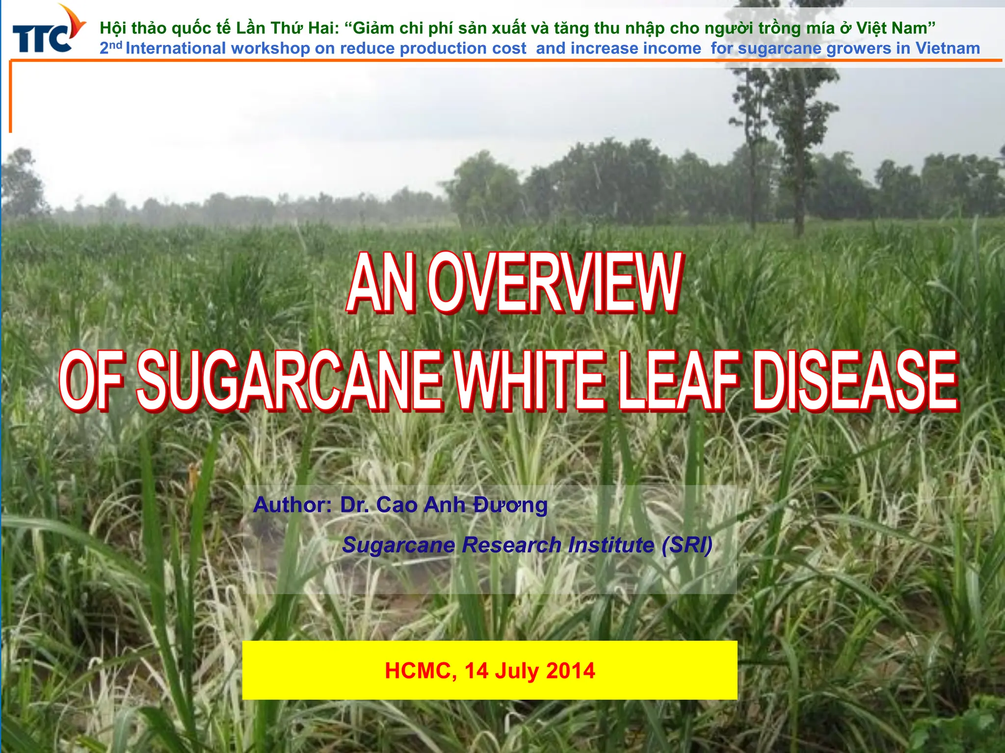 4 An Overview Of Sugarcane White Leaf Disease In Vietnam Pdf