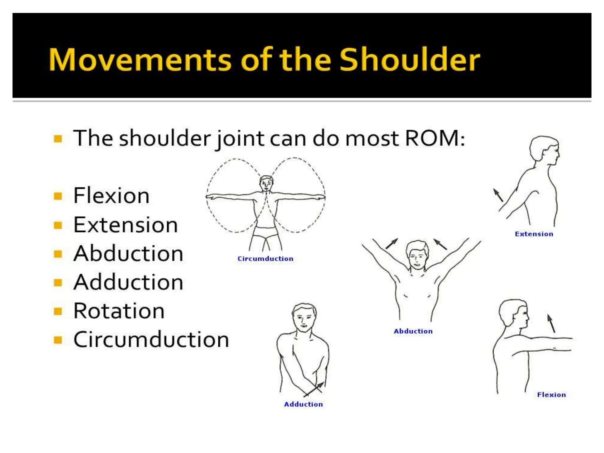 4. Acute Shoulder Dislocations cme ankit.pptx