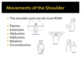 4. Acute Shoulder Dislocations cme ankit.pptx