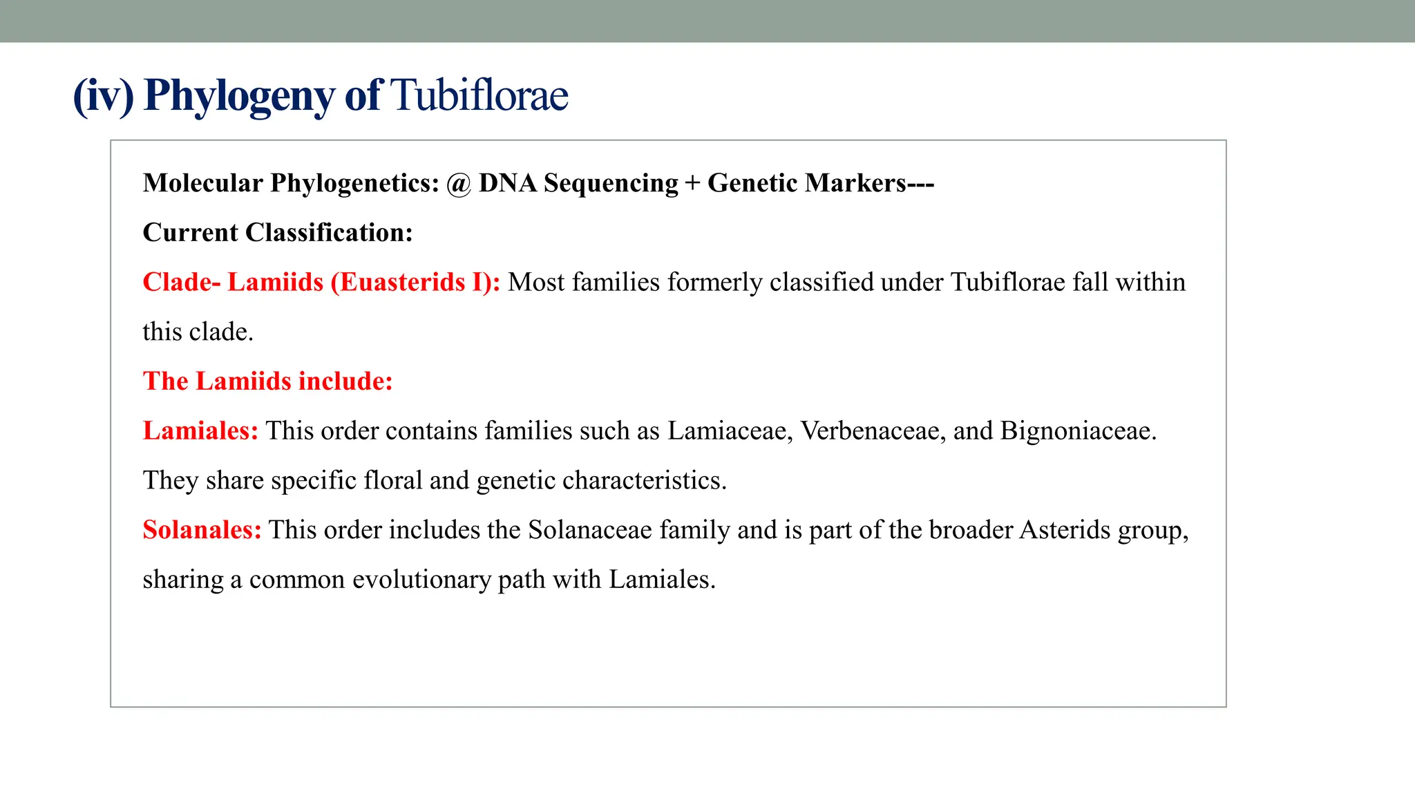 Tubiflorae : Salient features, floral & families diversity with ...