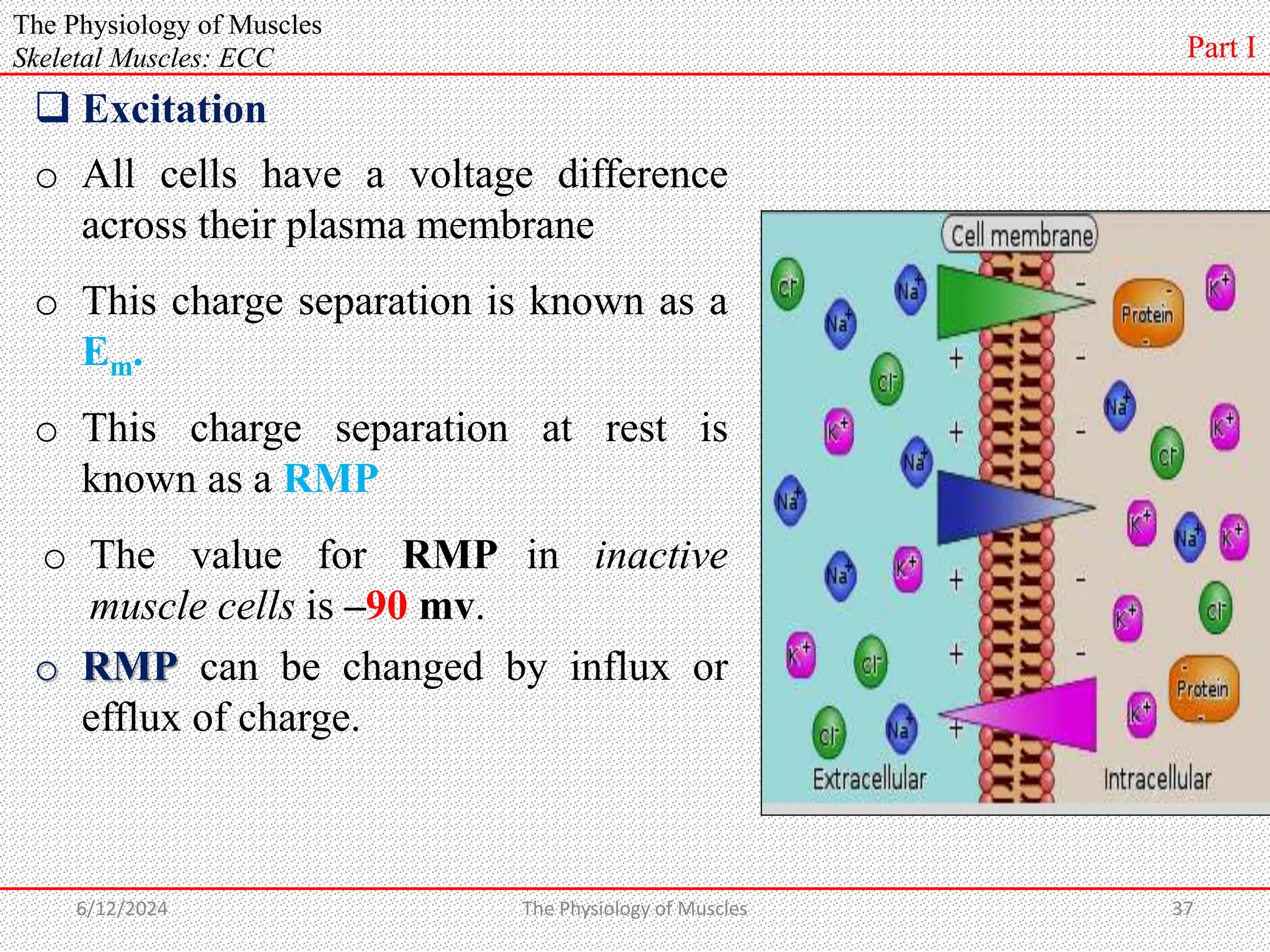 4. Muscle Physiology detail notes and power point | PPTX