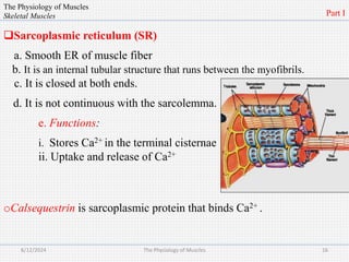 4. Muscle Physiology detail notes and power point | PPTX