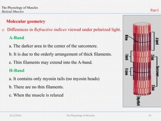 4. Muscle Physiology detail notes and power point | PPTX