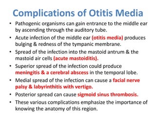 4._The_Ear_3 and all the anantomy of it.pdf