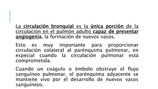 4. CIRCULACION PULMONAR Y VENTILACION-PERFUSION.pptx