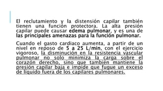 4. CIRCULACION PULMONAR Y VENTILACION-PERFUSION.pptx