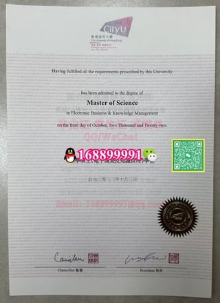 City University of Hong Kong Diploma Degree Transcript | PDF