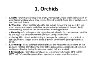 4. orchid care and specialized care for flowering plants.pptx