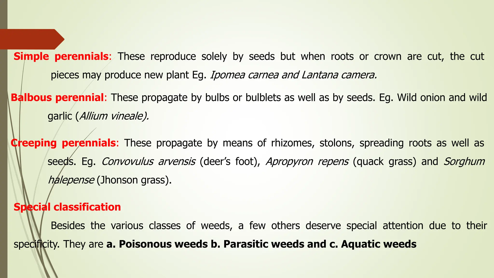 4. Classification of weeds-1.pptx in this we talk about weed | PPTX